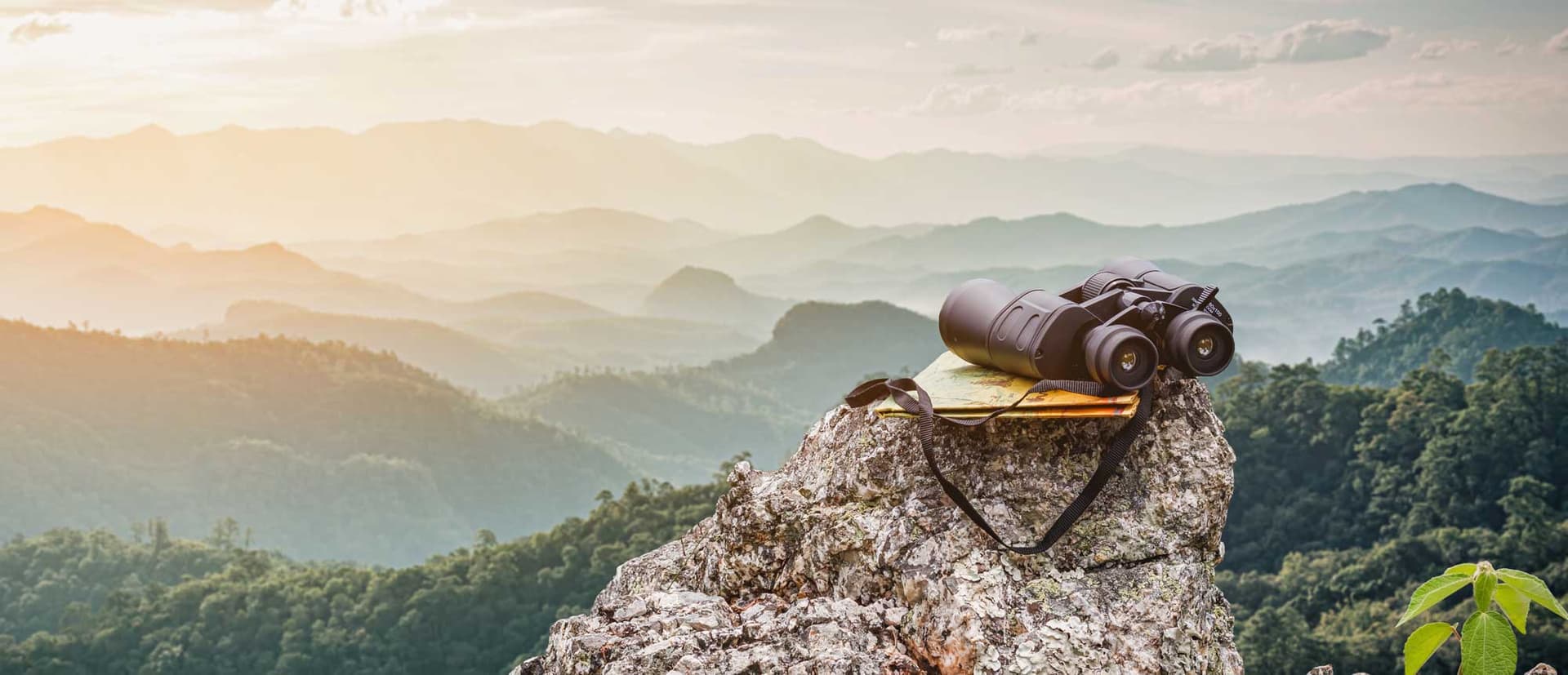 Understanding multi-family offices: A complete guide